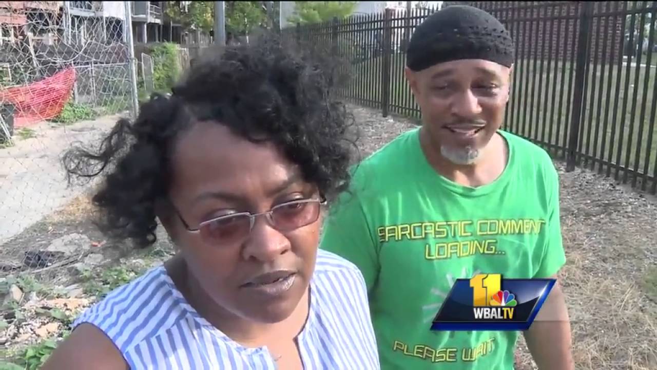 Bulls escape Baltimore slaughterhouse for hours - YouTube