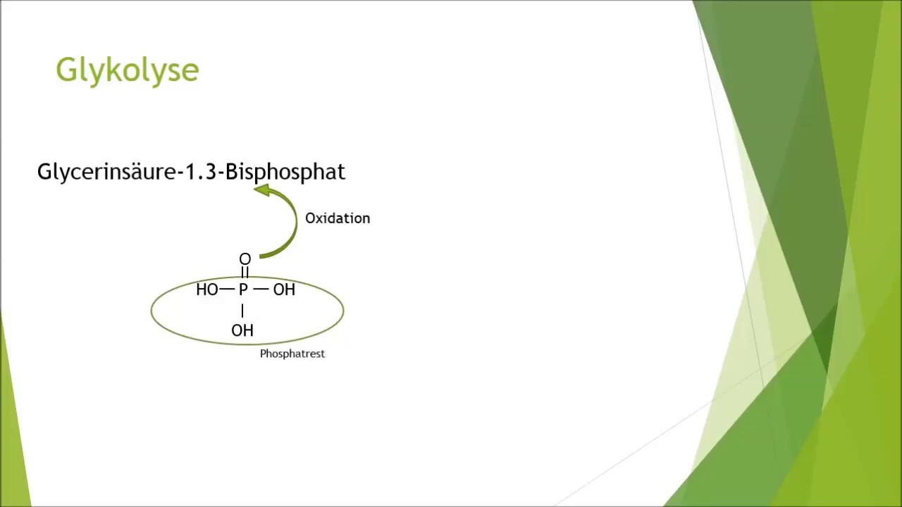 Glykolyse einfach erklärt | Biologie | Nachhilfe - YouTube