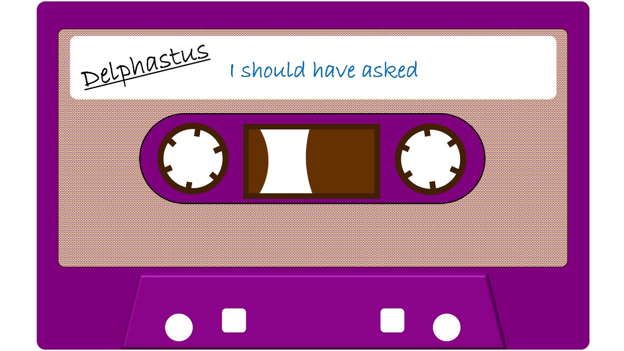 03 I should have asked - YouTube