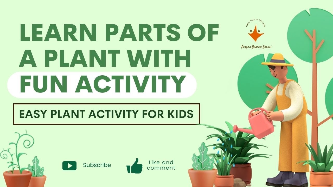 Learn Parts of a Plant with fun engaging Activity - YouTube