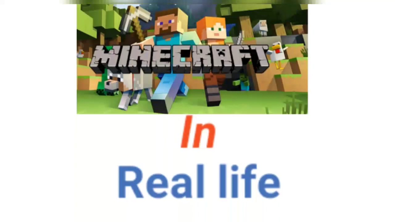 Real life minecraft game - brokersdsae