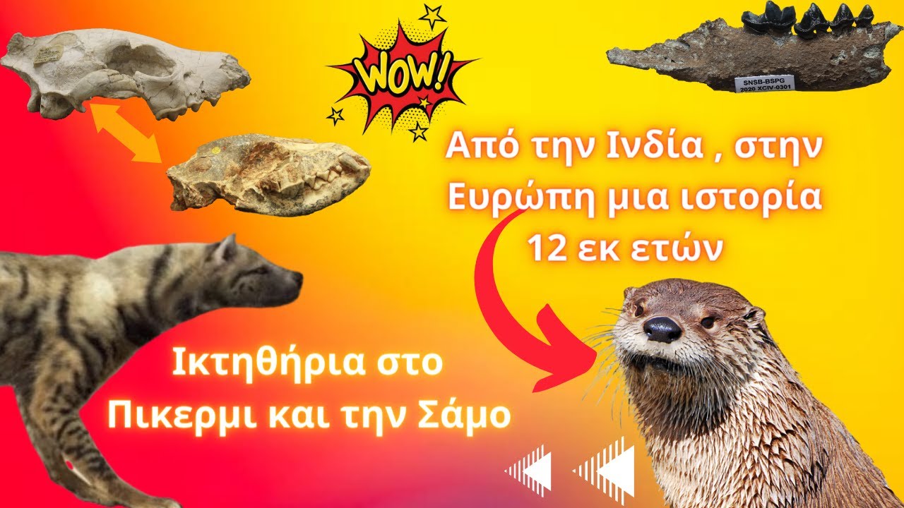 Παλαιο-live με τον Dr Νίκο Καργόπουλο, προϊστορικά ζώα της Ελλάδας και ...