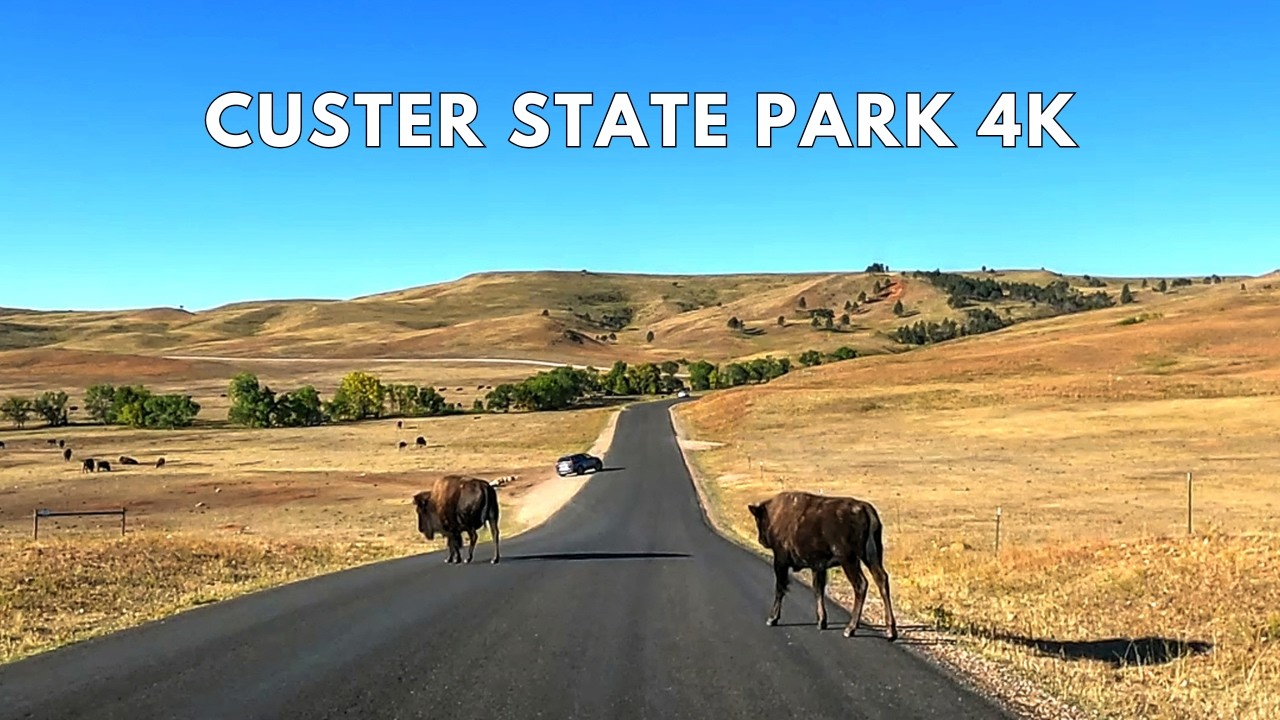 Custer State Park 4K Scenic Drive | Wildlife Loop Road Driving Tour ...