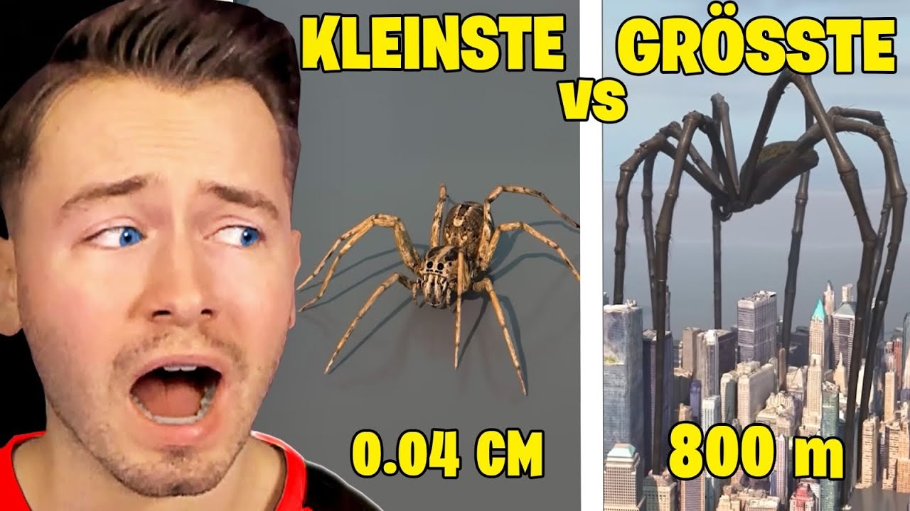 Kleinste Spinne Der Welt Nephila: Die Größten Webspinnen Der Welt