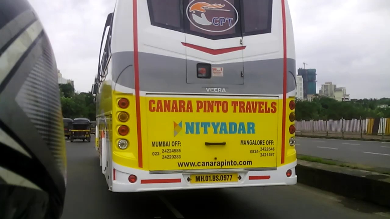 CANARA PINTO TRAVEL - YouTube