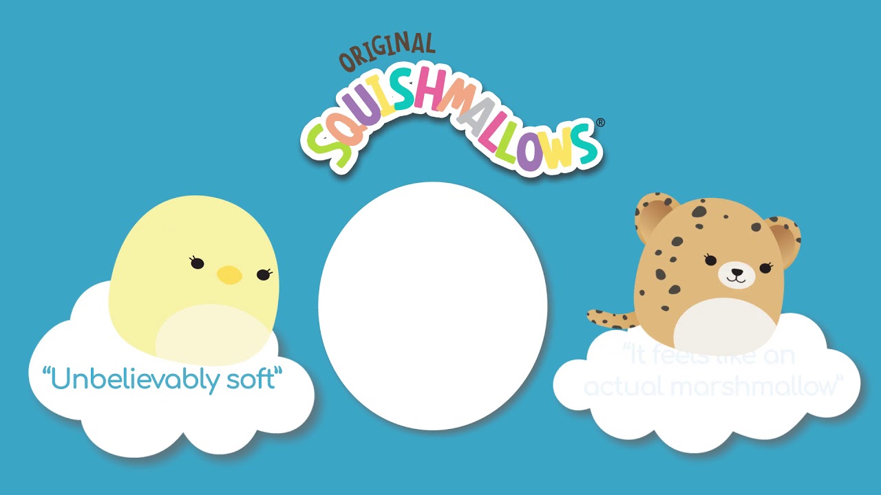Wheel of Squishmallows - YouTube