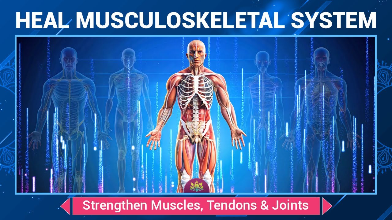 Heal Musculoskeletal System - Strengthen Muscles, Tendons & Joints ...