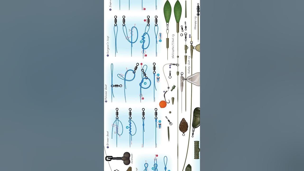 #Shorts Carp Fishing Knots And Rigs Poster - YouTube