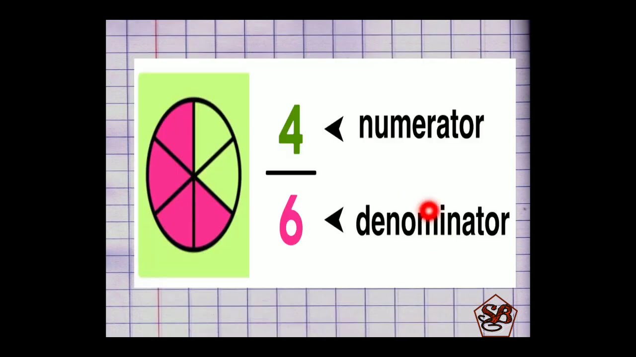 Fraction |Identifying Numerator/Denominator - YouTube