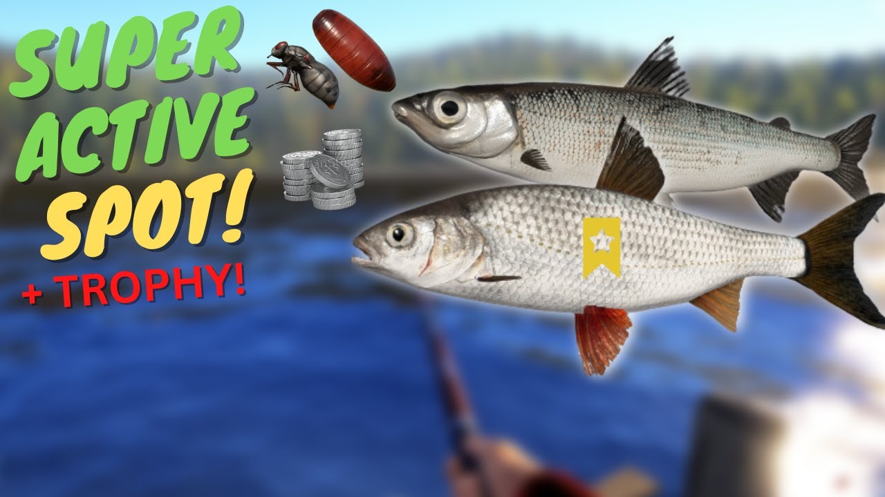 SUPER ACTIVE SIBERIAN DACE & TUGUN SPOT IN TUNGUSKA RIVER! + TROPHY ...