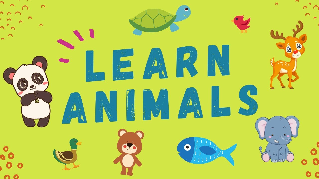 Learn Animals - English For Kids - Çocuklar İçin İngilizce - Hayvanlar ...