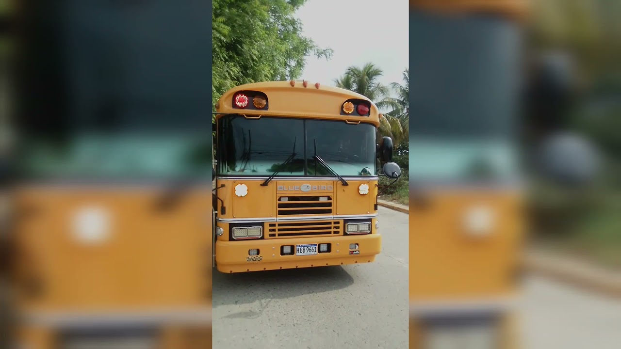 Buses de Honduras🇭🇳♥️4 - YouTube
