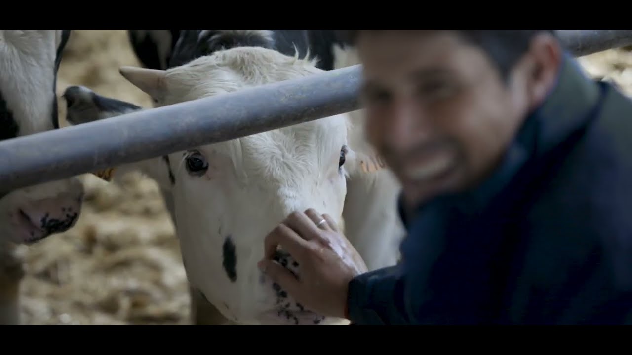El bienestar animal tiene nombre de mujer: Ruth Harrison - YouTube