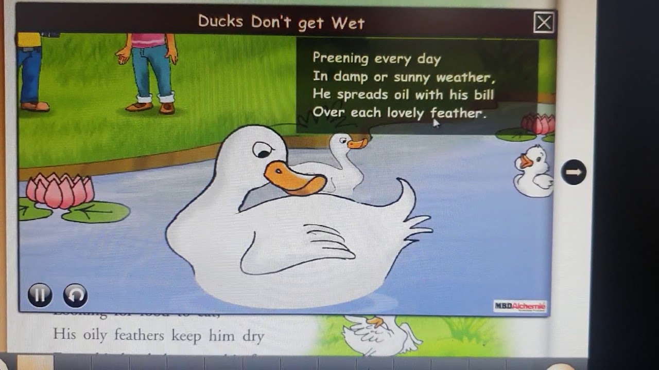 Class - 3 - English (Rhyme Time) - Ducks don't get wet - YouTube