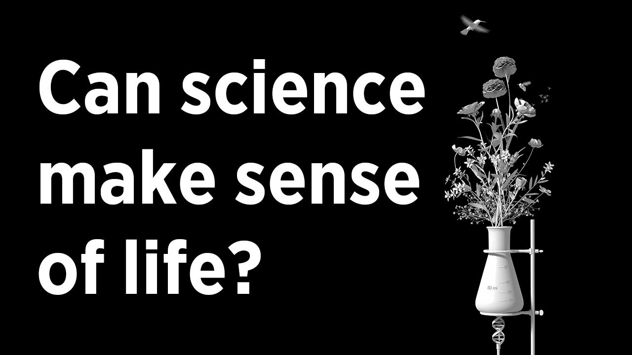 Can Science Make Sense of Life? | Behind The Book with Professor Sheila ...