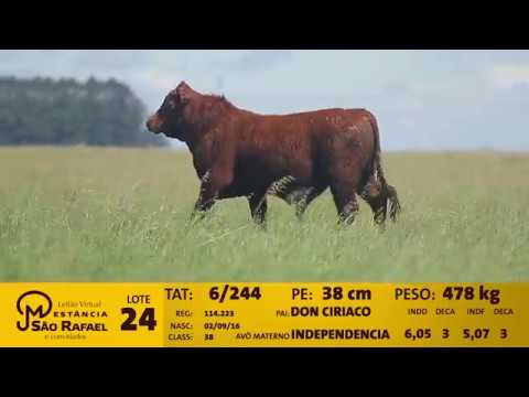 lote 24 - tat 6/244 - YouTube