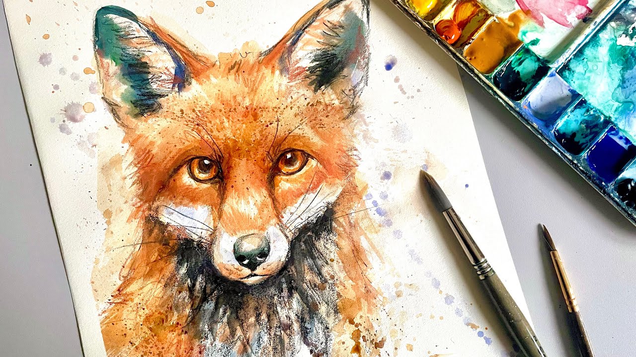 Fox Color Drawings