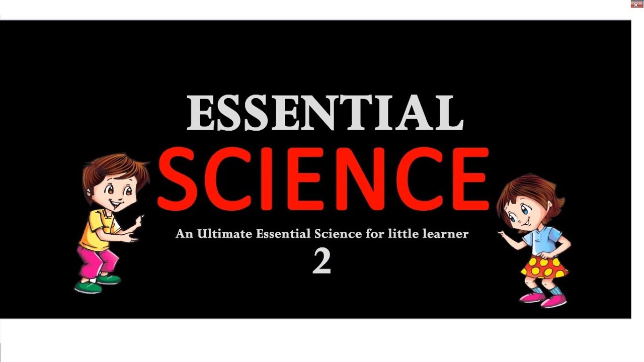 ESSENTIAL SCINECE 2 SCIENCE BOOK FOR CLASS 2 BY VIJETA PUBLISHING HOUSE ...