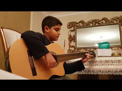 DOLAŞIM SİSTEMİ ŞARKISI