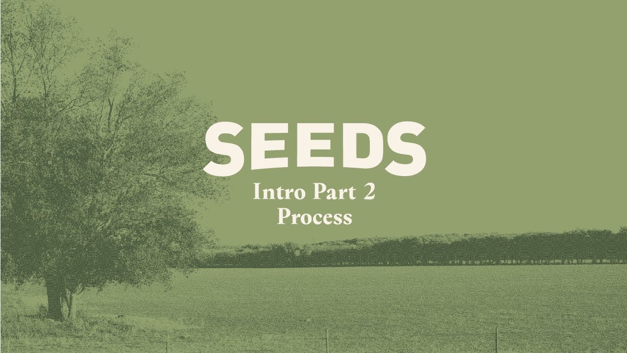 Seeds - Intro Part 2: Process - YouTube