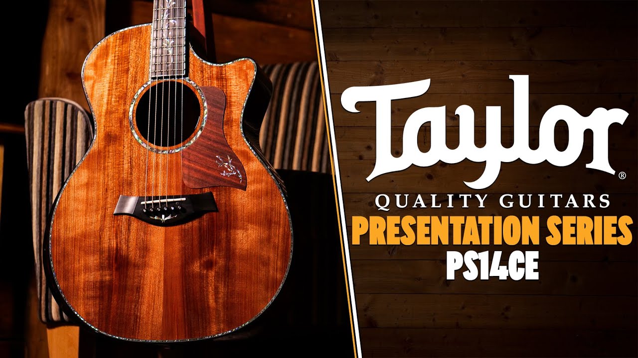 Taylor Presentation Series | PS14ce Honduran Rosewood - YouTube
