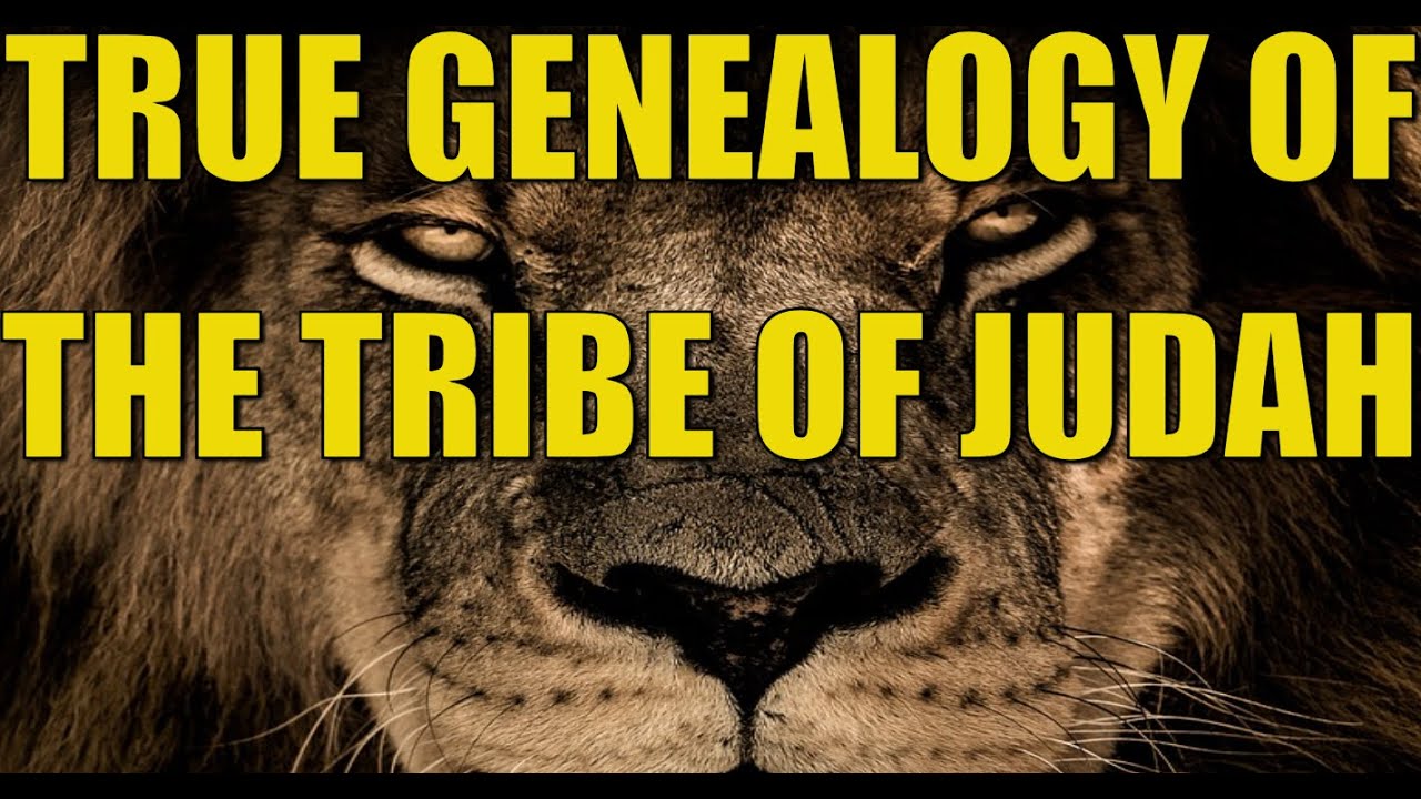 UNVEILING THE TRIBE OF JUDAH: THE TRUE HISTORY AND GENEALOGY - YouTube