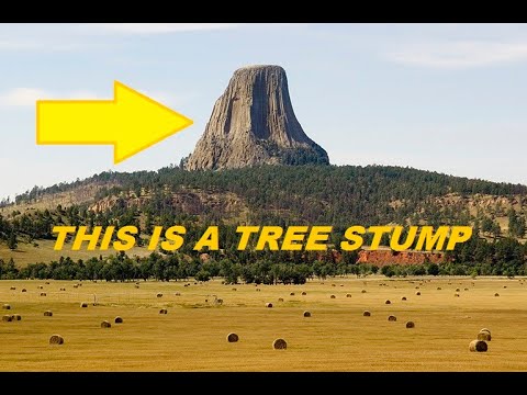 There are no forests left on the Earth - YouTube
