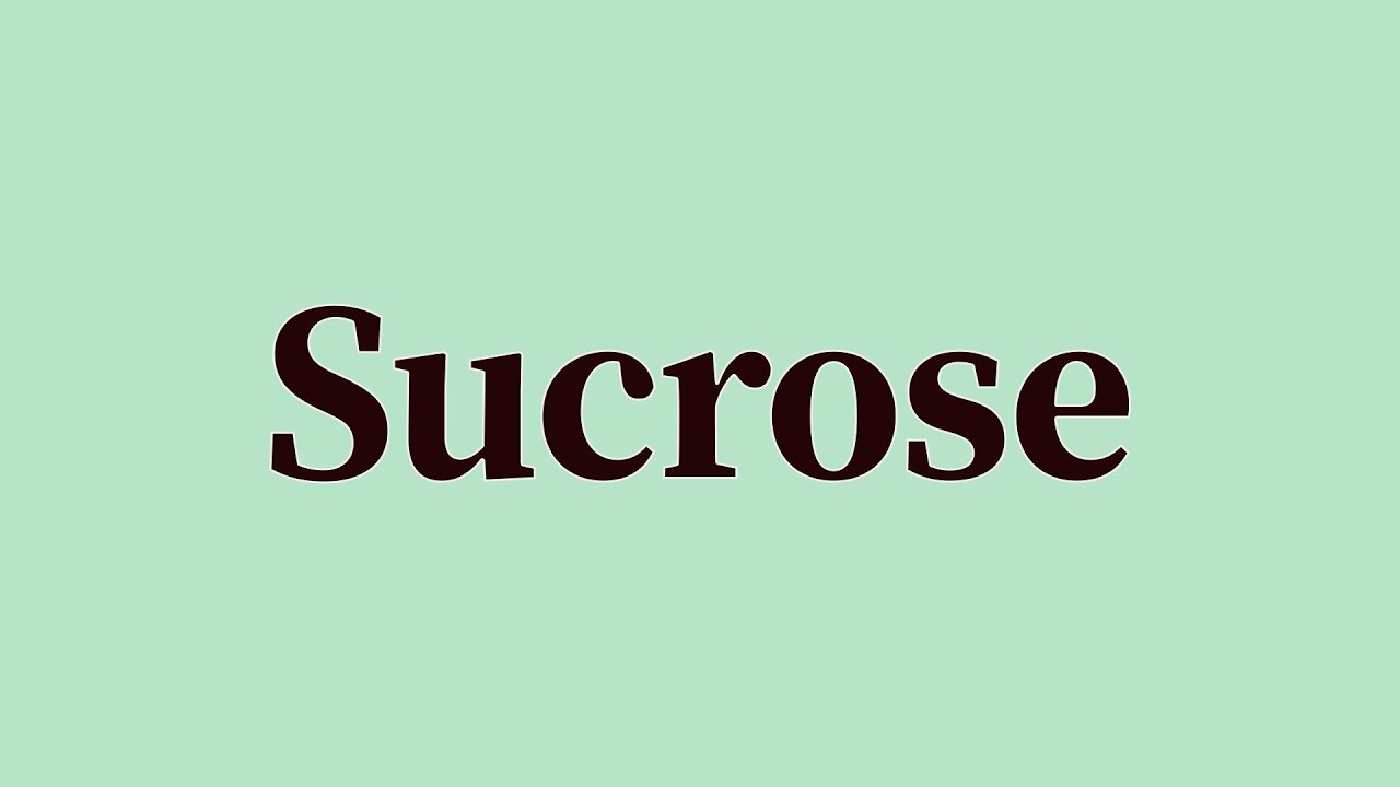 Sucrose Pronunciation and Meaning - YouTube