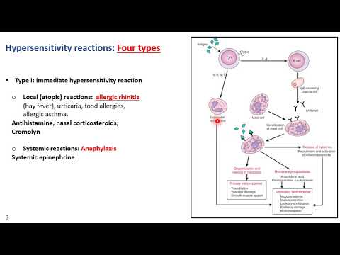 Chapter 03B Hypersensitivity reactions (Lecture 1) - YouTube