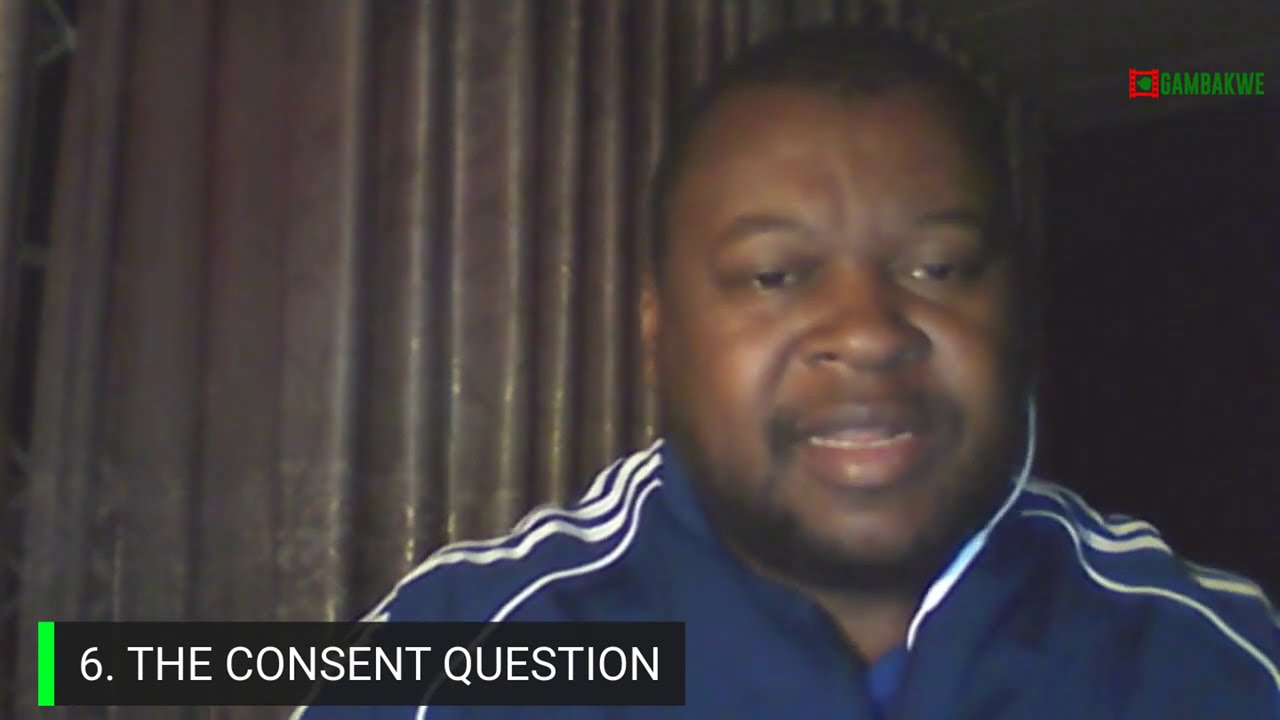 Jonathan Moyo Says SA Delegation Not A Solution For Zimbabwe Crisis ...