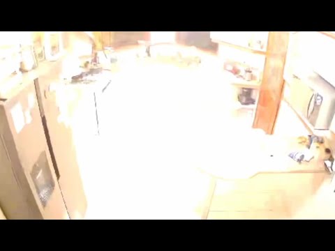 DIOSITO EN LA PERUVIAN :o | #Peruvianhouse #Babegigi #Daarick #Anthonycraft #Umihyu