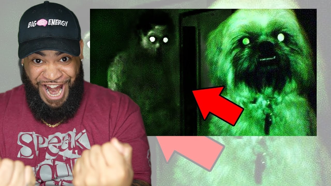 This Was GOOD Top 5 Ghost Videos SO SCARY You'll Go Boom-Boom - YouTube