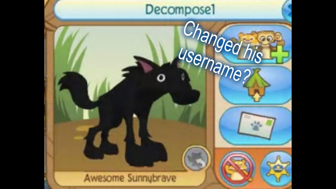 Animal Jam: Lost jammer found??!! - YouTube