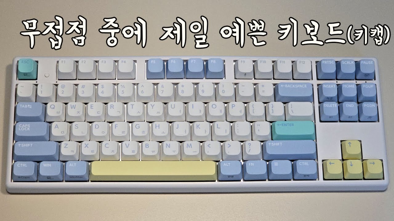 예쁘다.. 신형8k 무접점키보드 gk893 pro 동그리 | 사무실키보드를찾아서, 사장빨EP1 - YouTube