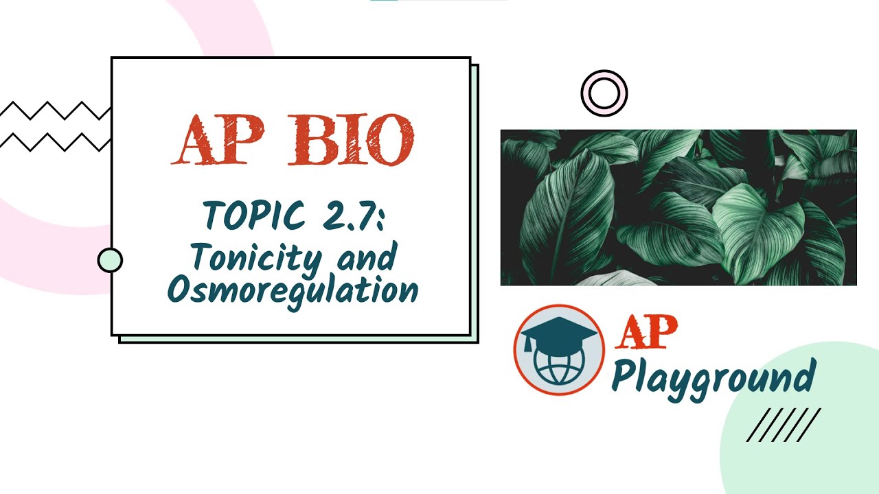 AP Biology 2.7: Tonicity and Osmoregulation | AP Playground - YouTube