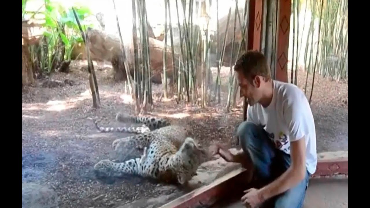 Un leopardo me quiso comer y muchas más cosas - YouTube