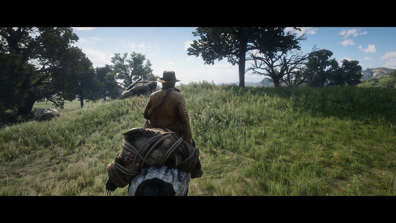 Red Dead Redemption 2 PC | 4K Ultra Realistic Graphics Showcase | The ...
