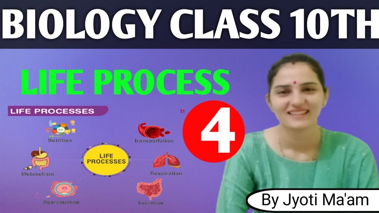 NCERT SCIENCE | BIOLOGY CLASS 10TH | HTET | DSSSB | BY JYOTI MA'AM | # ...