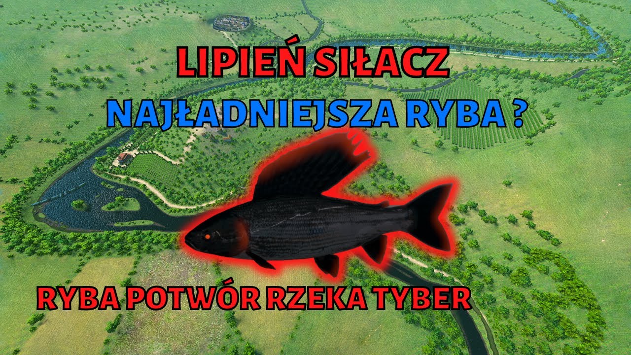 jak złowić lipień siłacz - ryba potwór rzeka tyber - YouTube