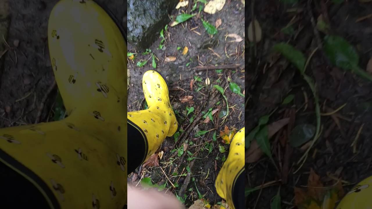 soggy boots - YouTube