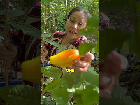 How To Grow Star Fruit Trees From Seeds