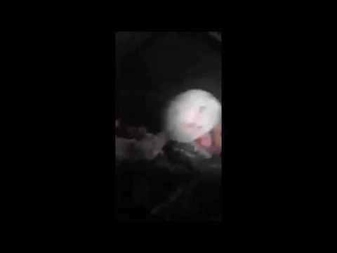 Çağırsa ellər gedərəm davaya  Əsgərlərimiz coşqu ilə döyüşə gedir