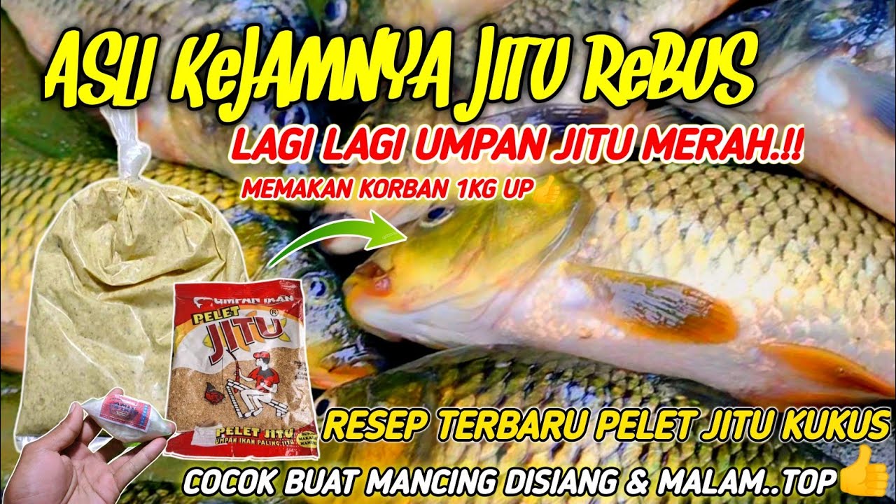 KEJAMNYA PELET JITU MERAH‼️RACIKAN UMPAN JITU MANCING IKAN MAS LOMBA ...
