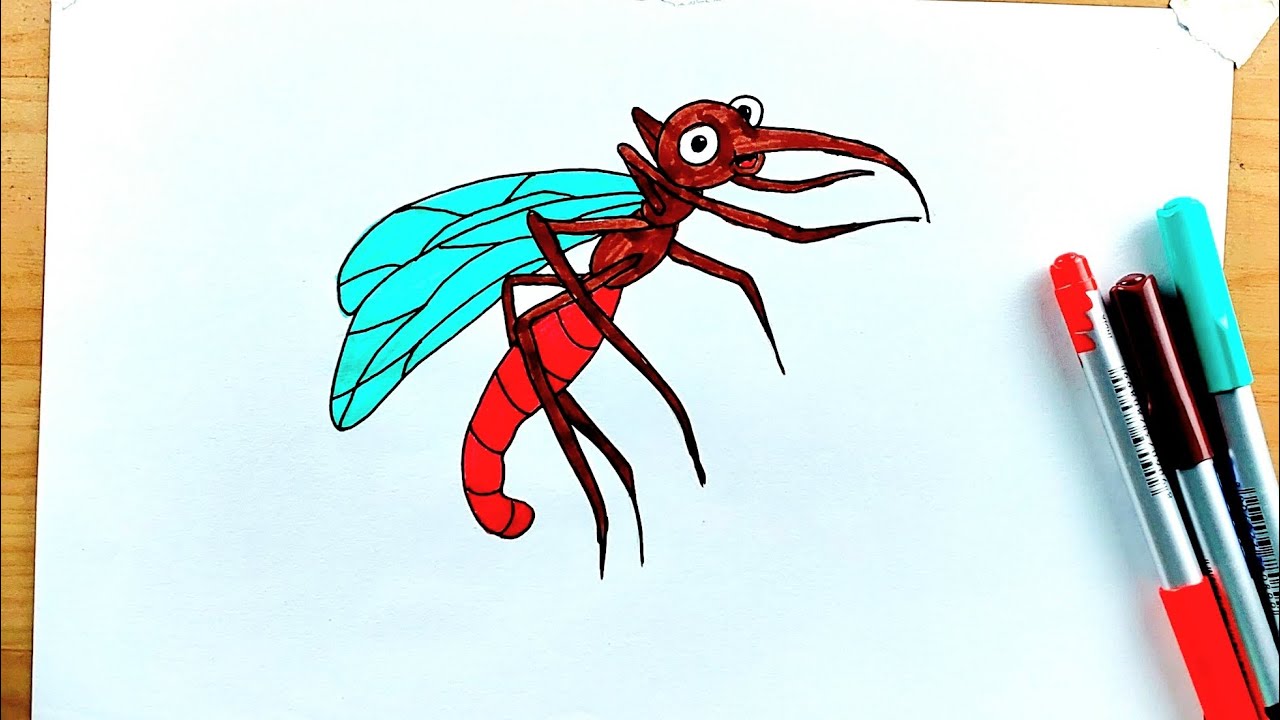 Mosquito Drawing and Coloring || Mosquito Drawing 🦟 😍 - YouTube
