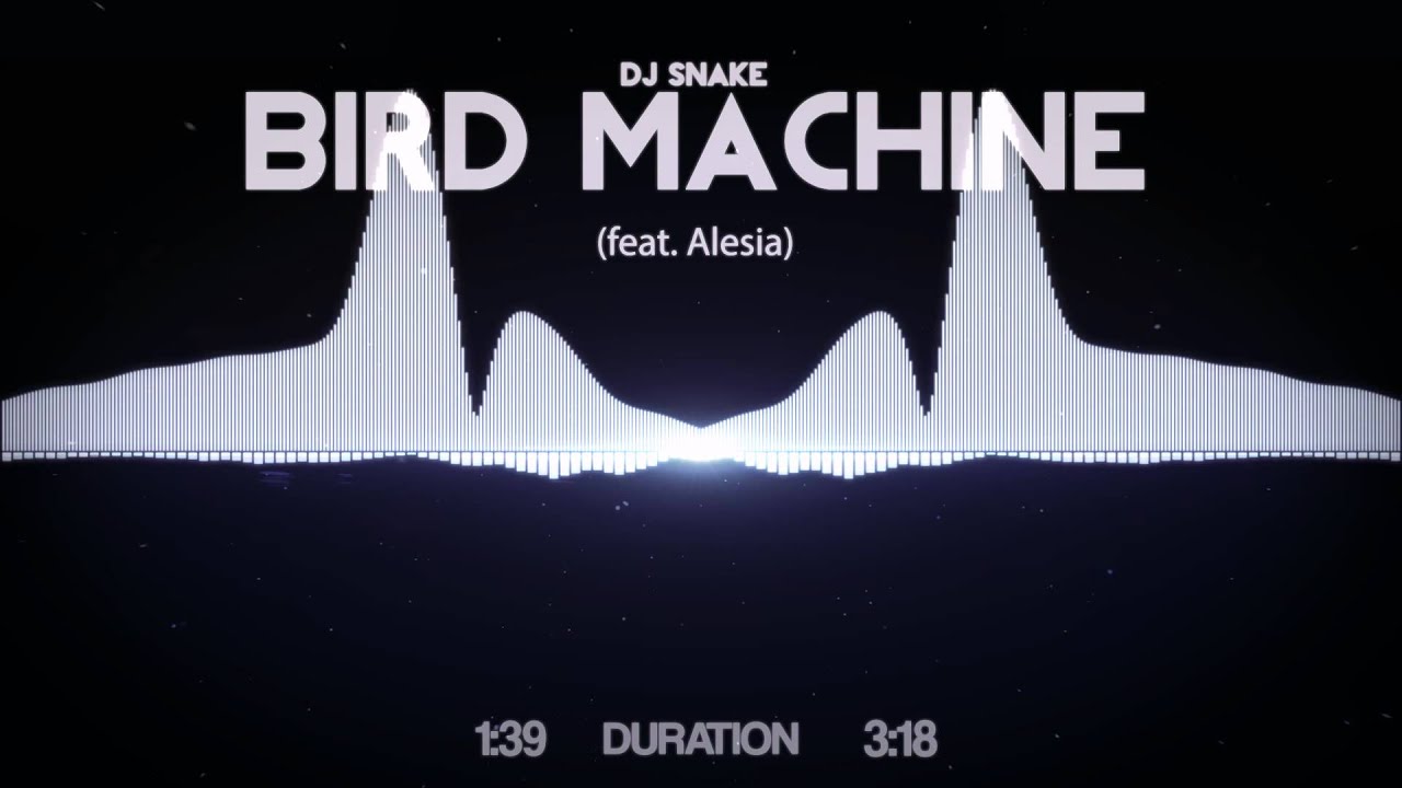 Dj Snake Bird Machine