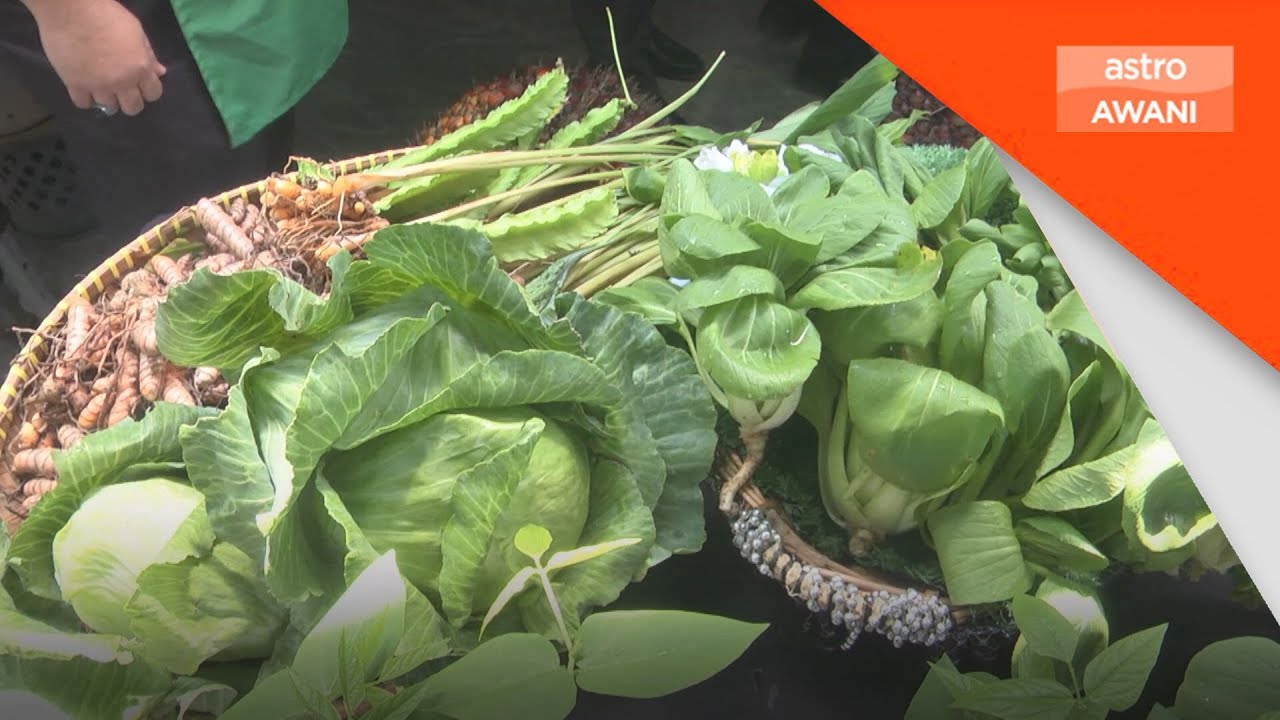 Baja Organik | Tingkat pengeluaran produk pertanian, kawal isu kurang ...