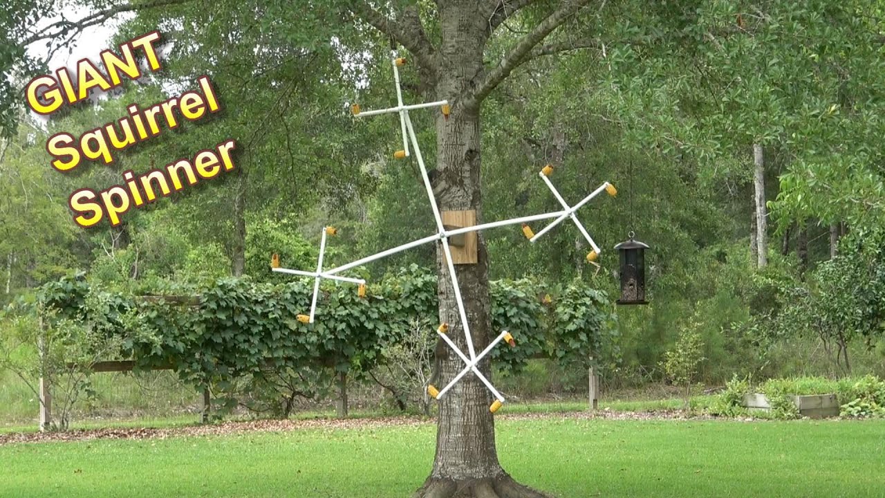GIANT Squirrel Twirler / Spinner - Ninja Squirrel has a Blast :-) - YouTube