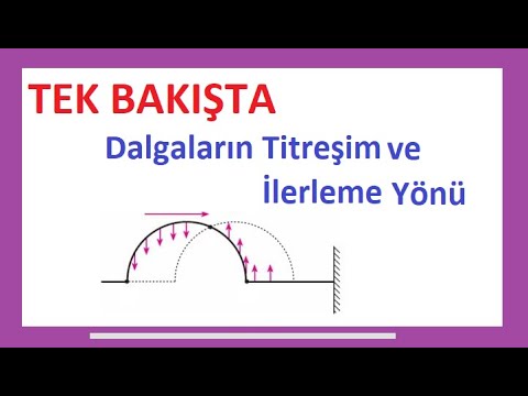 TEK BAKIŞTA Dalgaların İlerleme ve Titreşim Yönünün Bulunması | PDF |