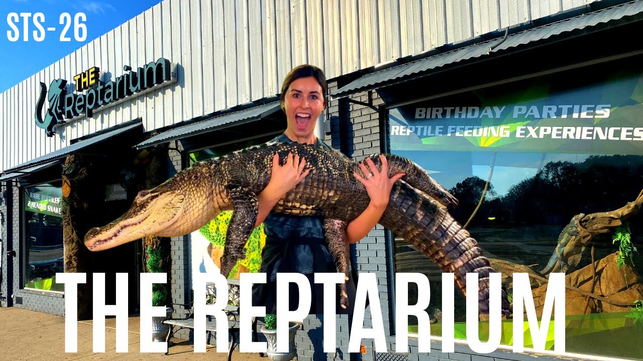 I TAKE MY WIFE TO THE REPTARIUM | BRIAN BARCZYK | MICHIGAN REPTILE ZOO ...