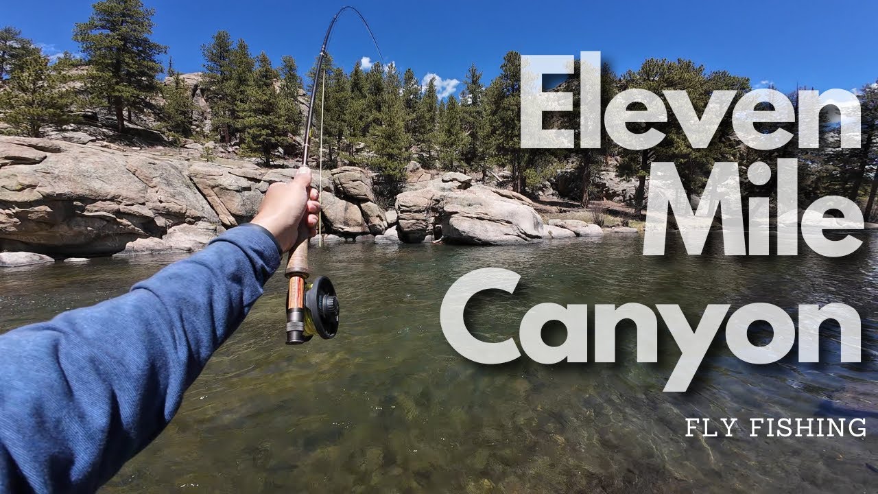 Eleven Mile Canyon Two-Day Fly Fishing Adventure - YouTube